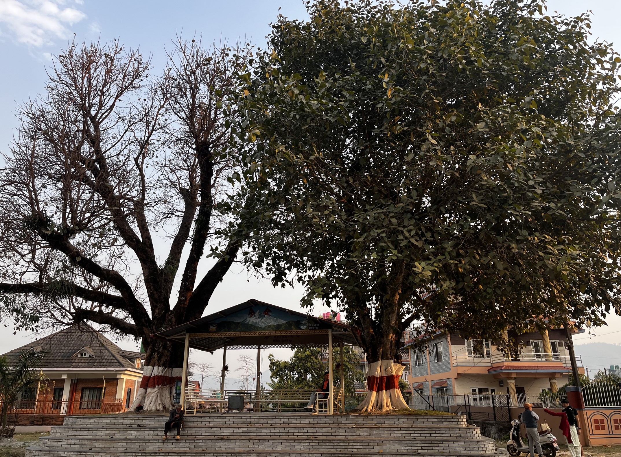 मासिए चौतारा, ढले वरपीपल