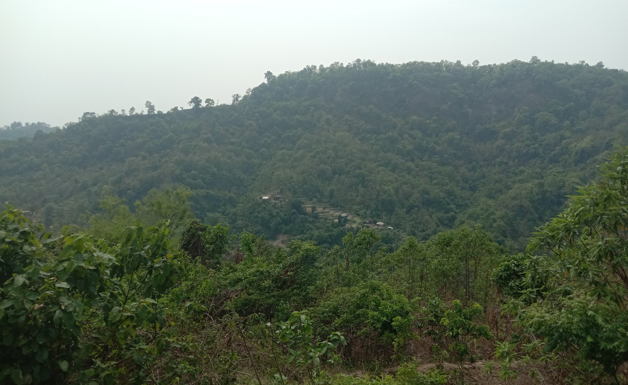 मधेशमा सौर्य ऊर्जा : कागजमा बलियो, कार्यान्वयन फितलो