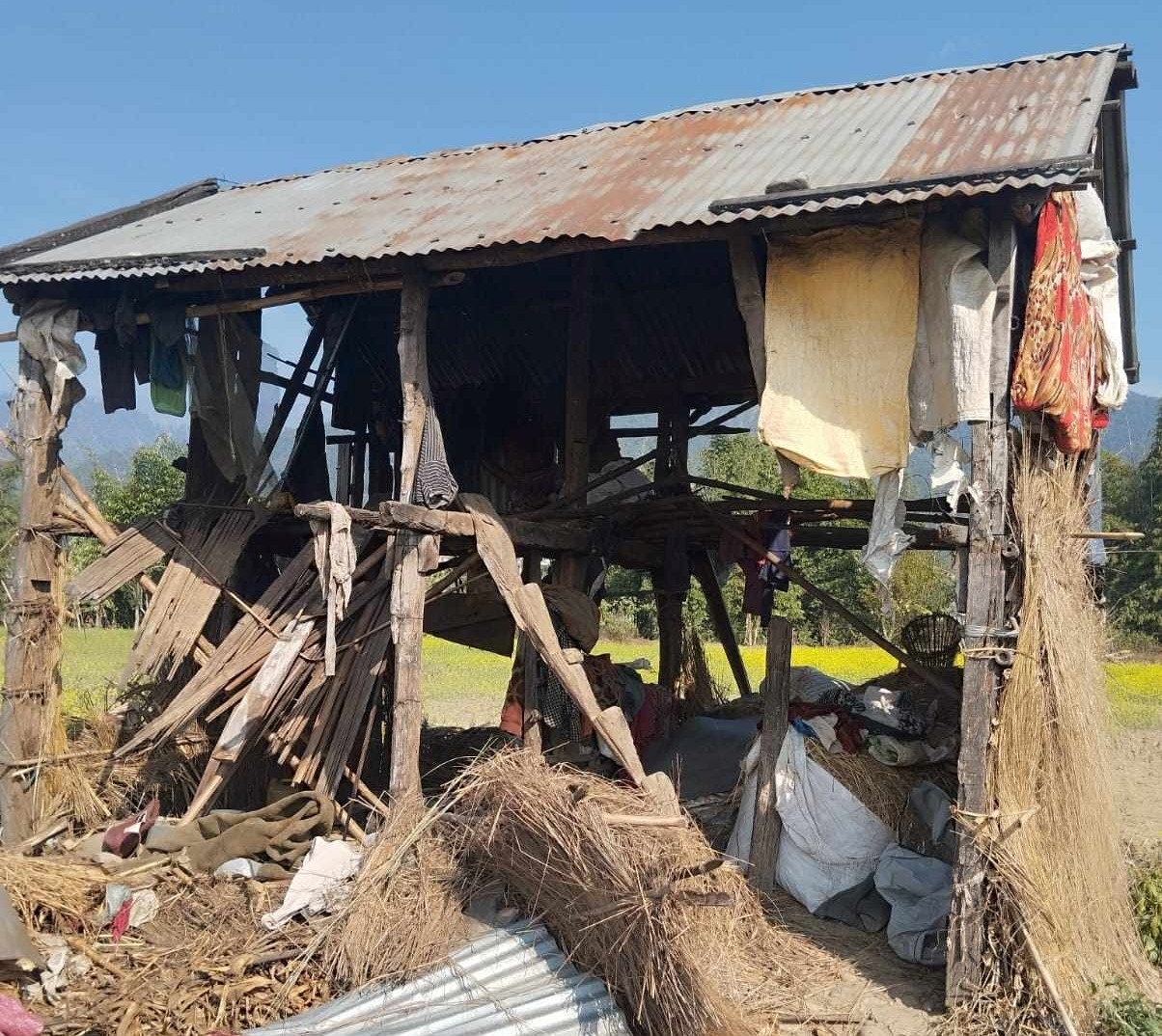 जंगली हात्तीले मनहरीका डेढ दर्जन घरमा क्षति